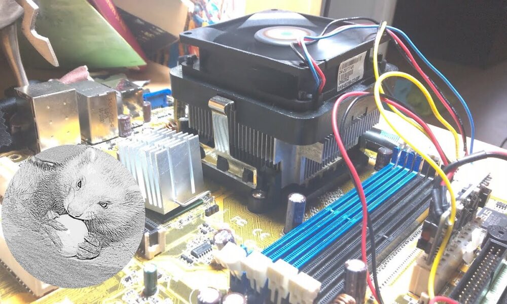 Un PC peut-il fonctionner sans RAM ? – TechDIY.info