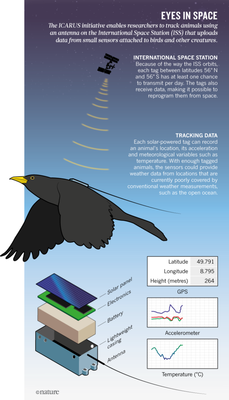 How low do you have to fly to avoid radar? | TechDiy.info