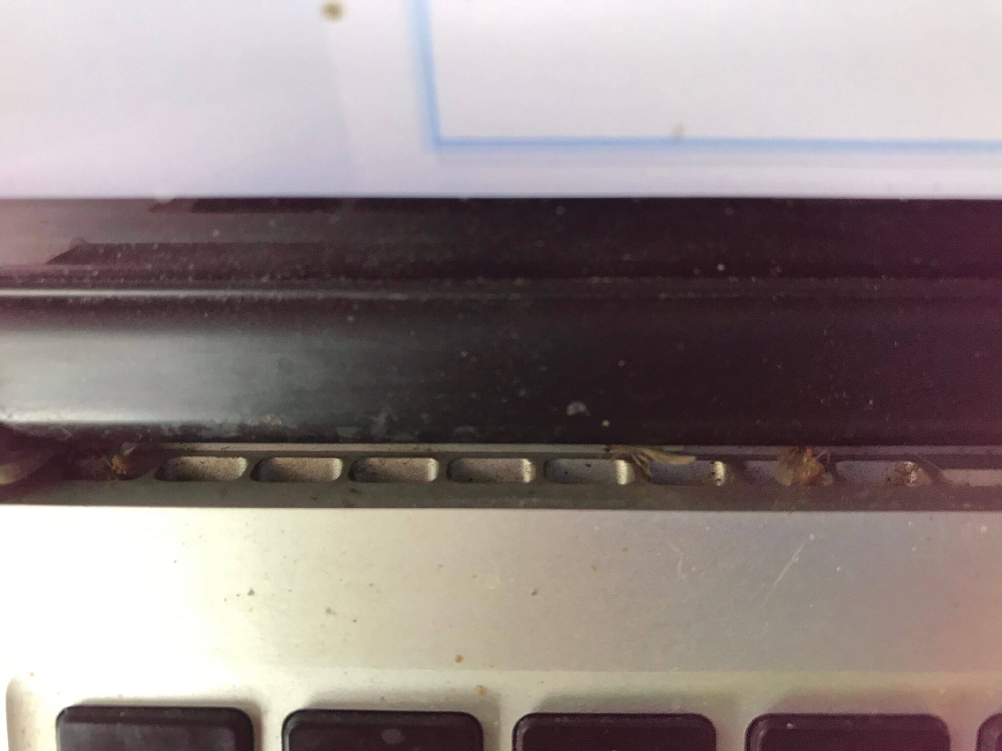 Um PC pode durar 10 anos?