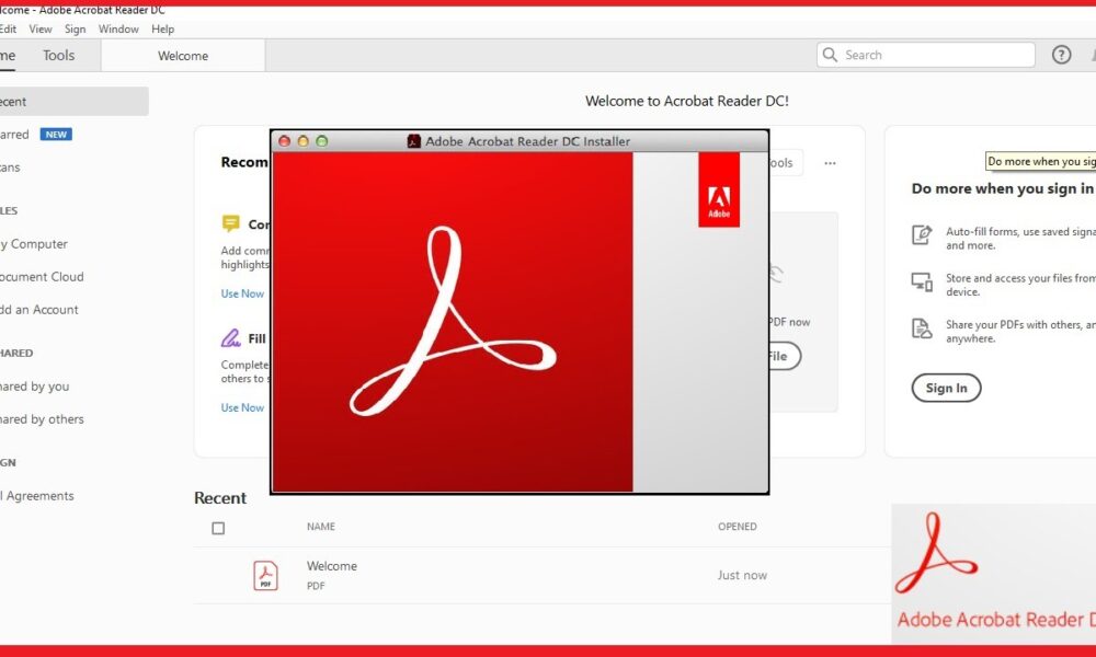 How do I install Adobe Reader on Windows 10? - TechDIY.info