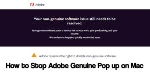 How to check if Adobe software is genuine or not? | TechDiy.info