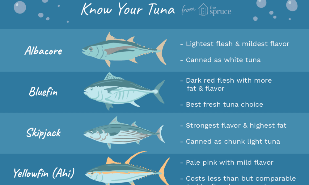 How is the taste of tuna fish? - TechDIY.info