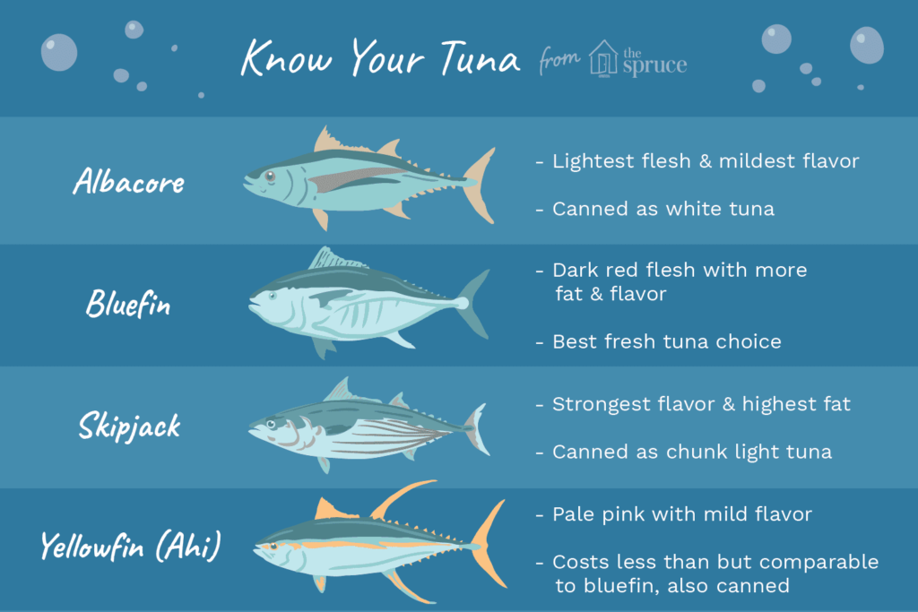 How is the taste of tuna fish? - TechDIY.info