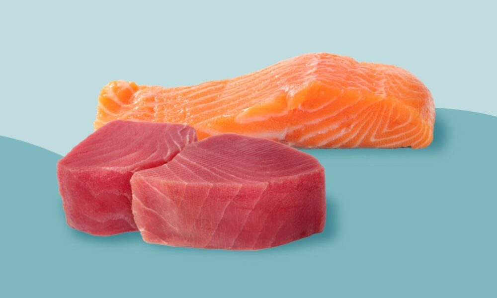 Is tuna red meat healthy? – TechDIY.info