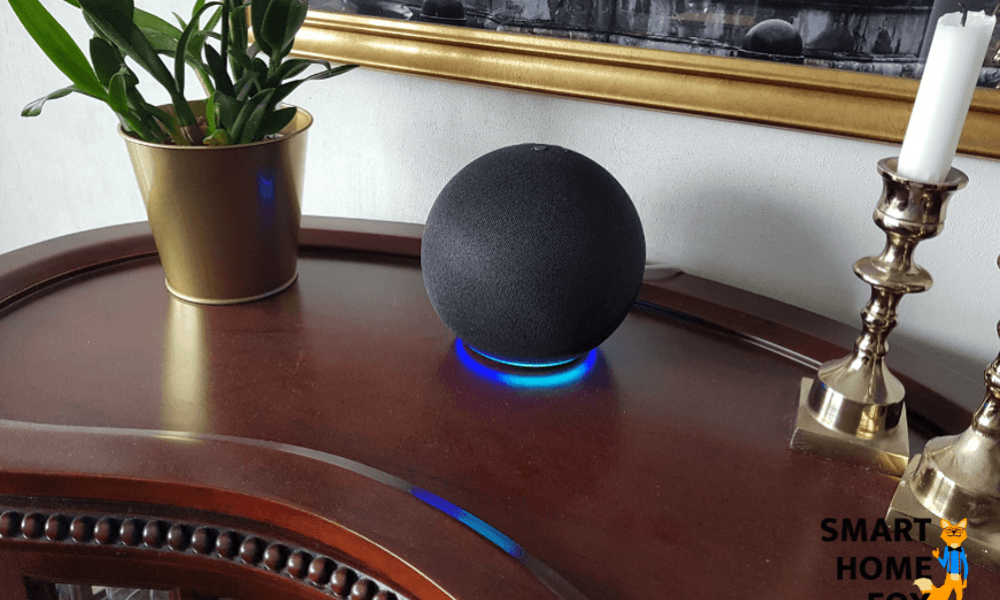 What Colour should Alexa be? – TechDIY.info
