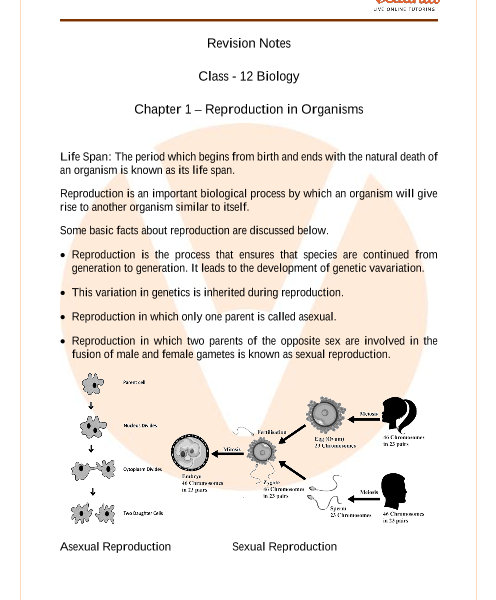 What is death in biology class 12? - TechDIY.info