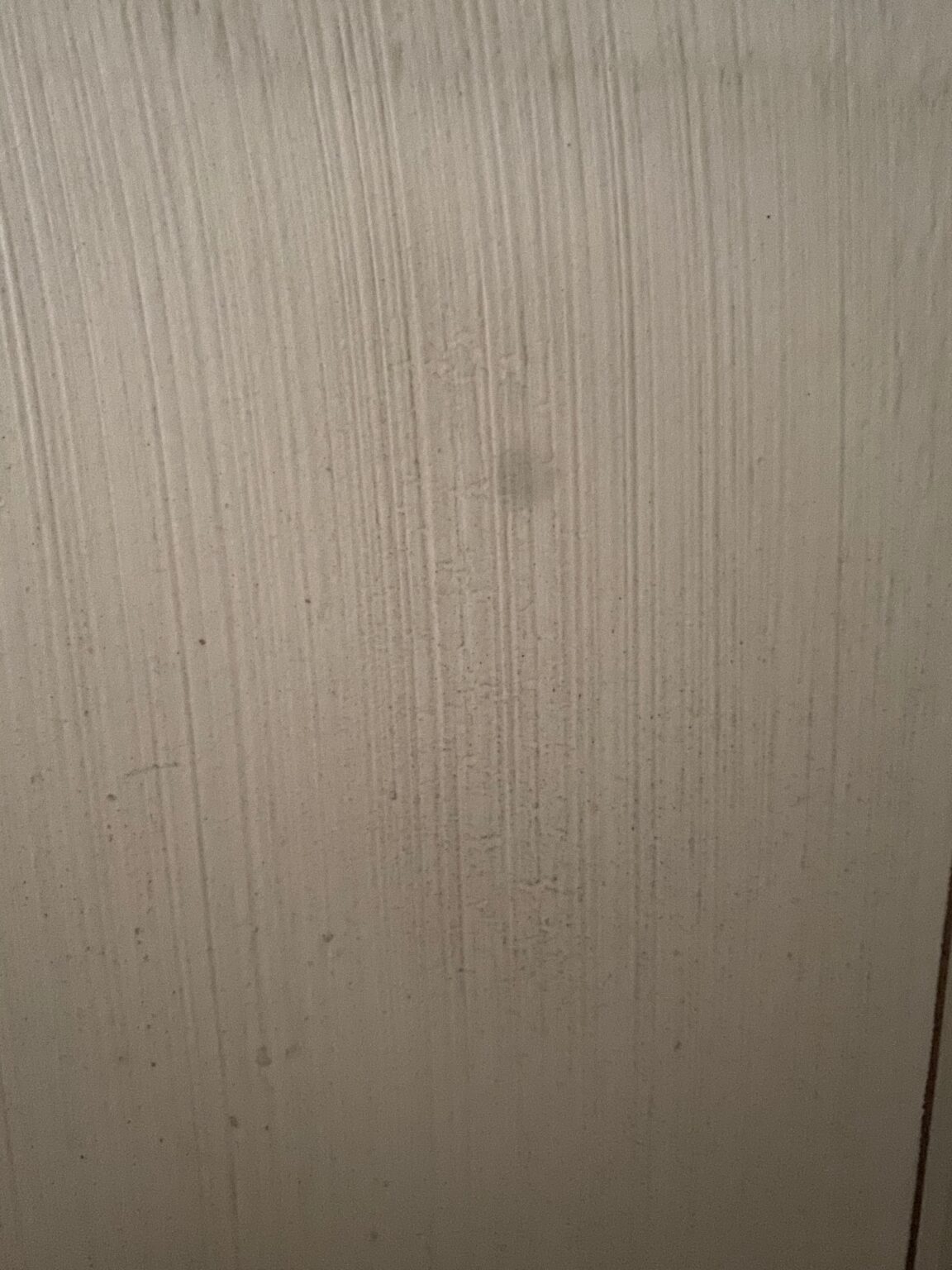 Why is there a grey dot on my iPhone camera? | TechDiy.info
