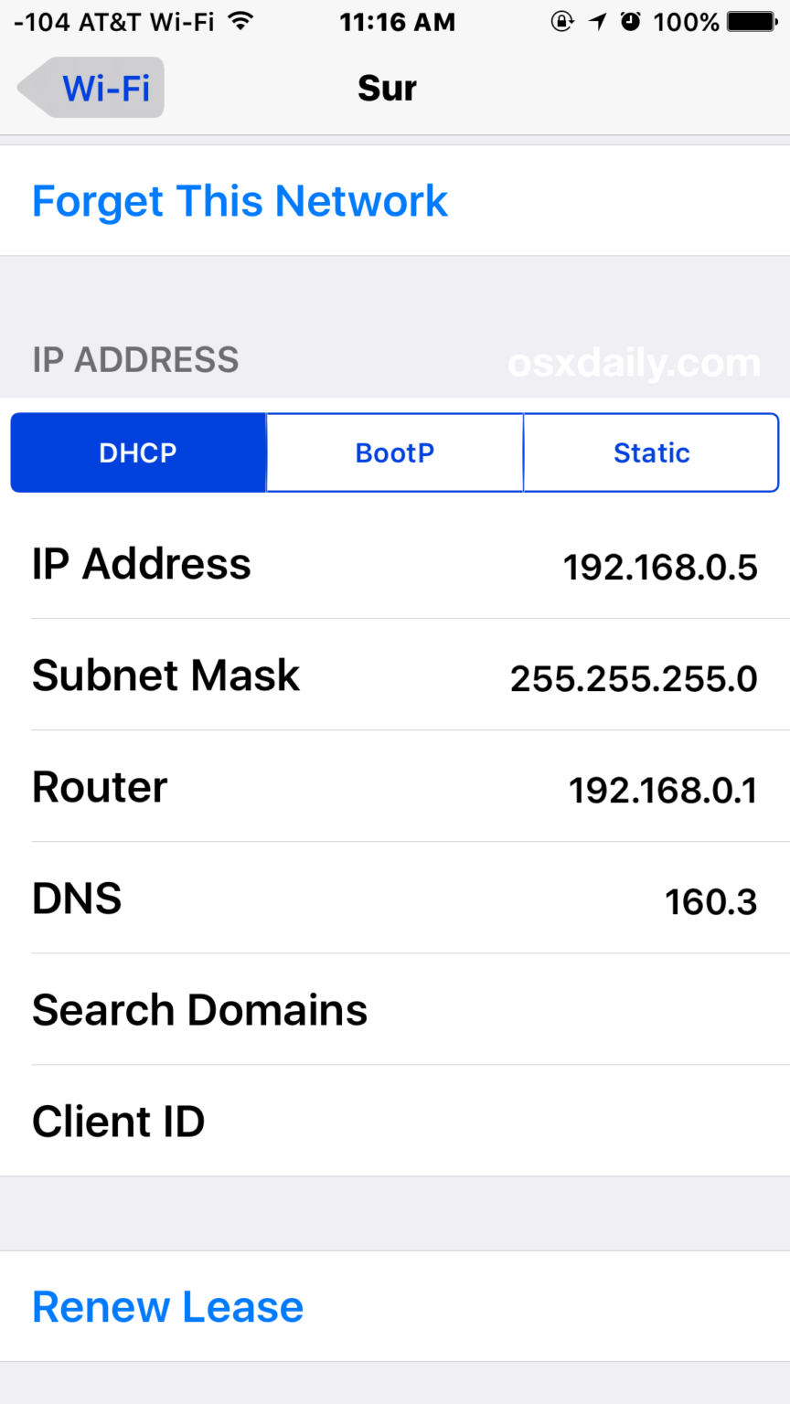 Wie finde ich meinen primären DNS auf meinem iPhone? | TechDiy.info