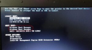 How do I get rid of Windows Boot Manager in BIOS? – TechDIY.info